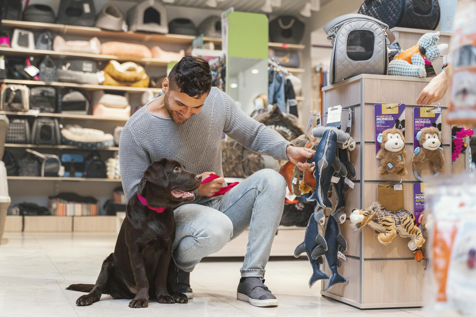 Pet Shops in Qatar: A Real Guide for Pet Owners