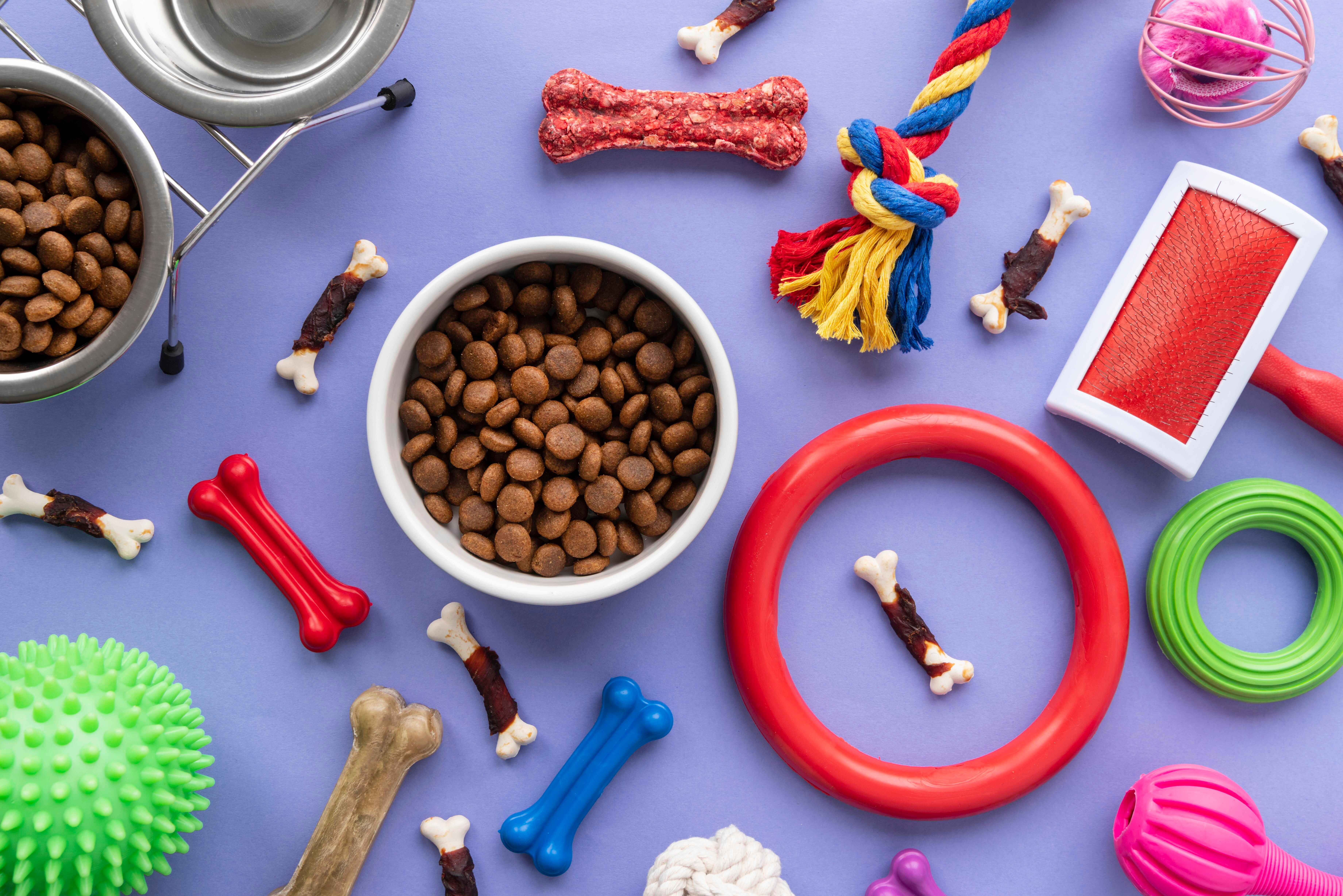 Pet Shops in Qatar: A Real Guide for Pet Owners